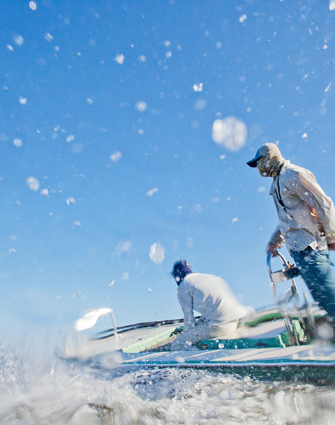 Captain Experiences Login